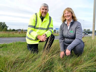 An unexpected loss of a force for nature | Ulster Wildlife