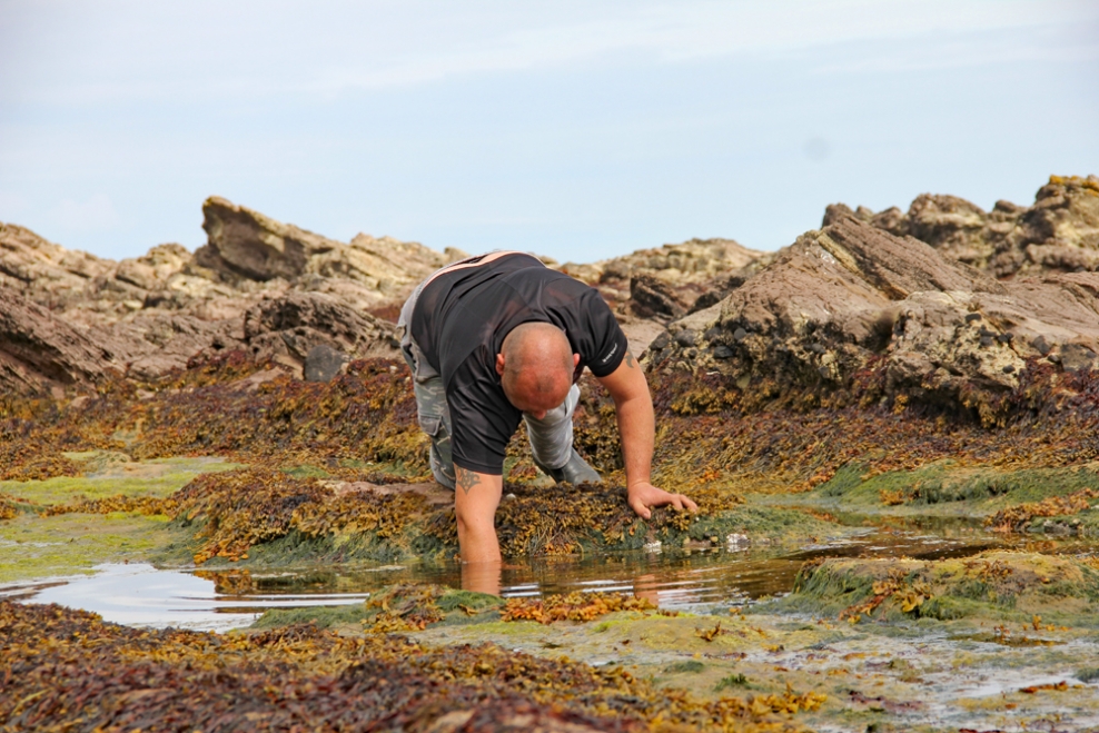 Coastal foraging at Cushendall | Ulster Wildlife
