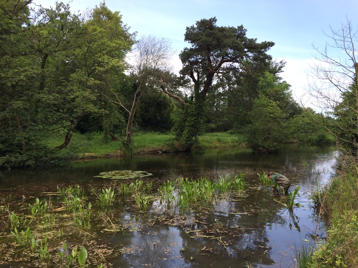 Where to walk on our #BigWildWalk | Ulster Wildlife