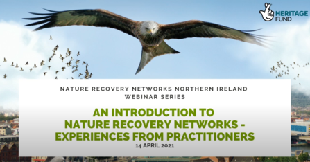 Nature Recovery Networks | Ulster Wildlife