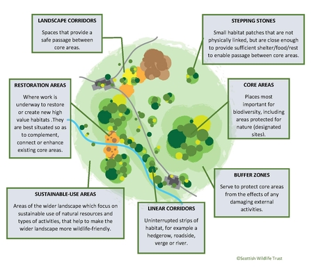 Nature Recovery Networks | Ulster Wildlife
